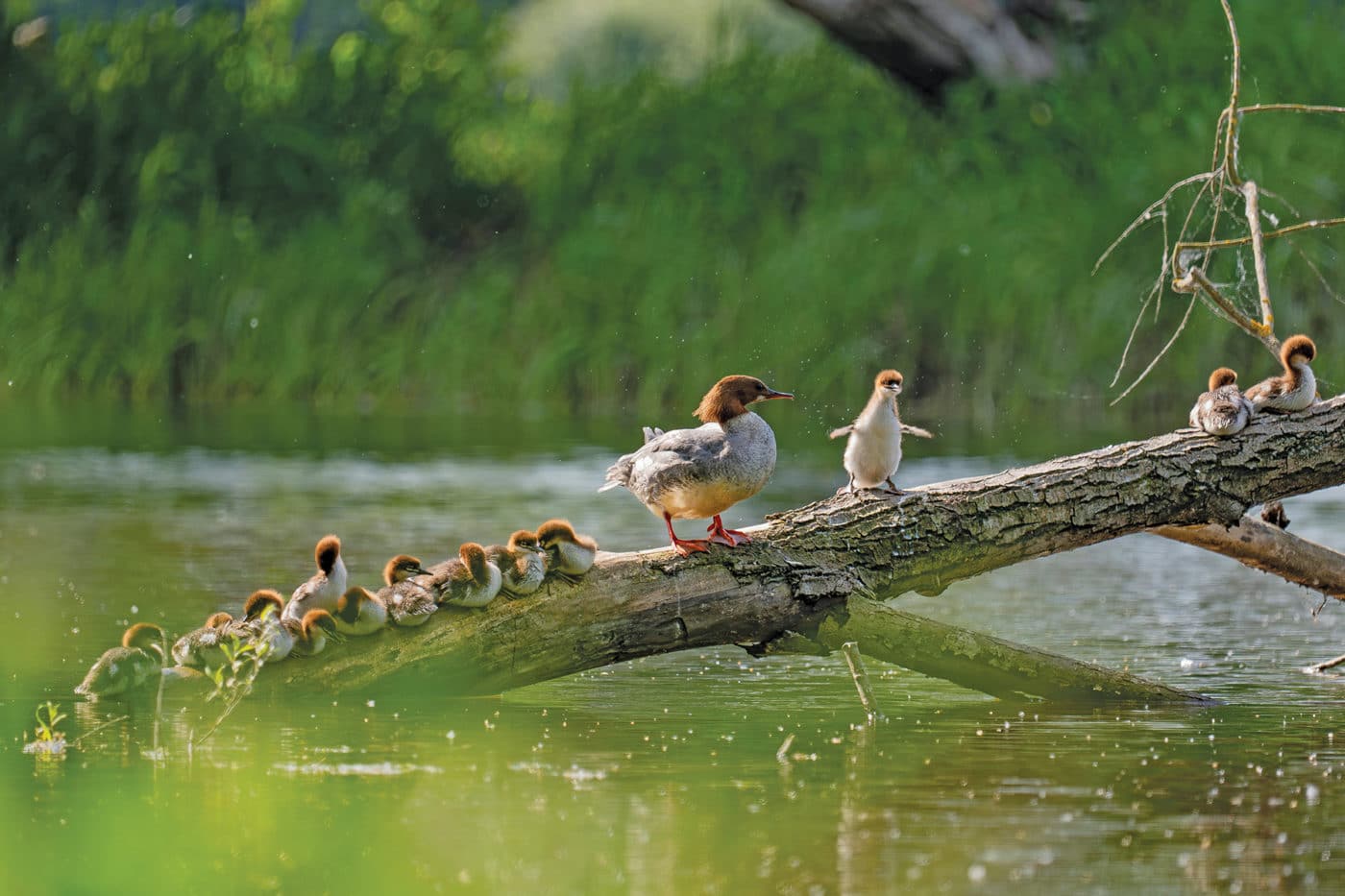 Event Calendar | DiscoveryBound